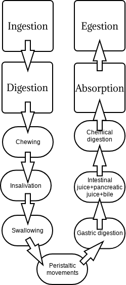 Flowchart (Stage 2).vpd | Visual Paradigm User-Contributed Diagrams / Designs